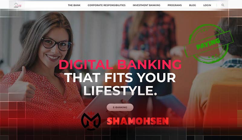E-LifeBank investing project | SHAMOHSEN